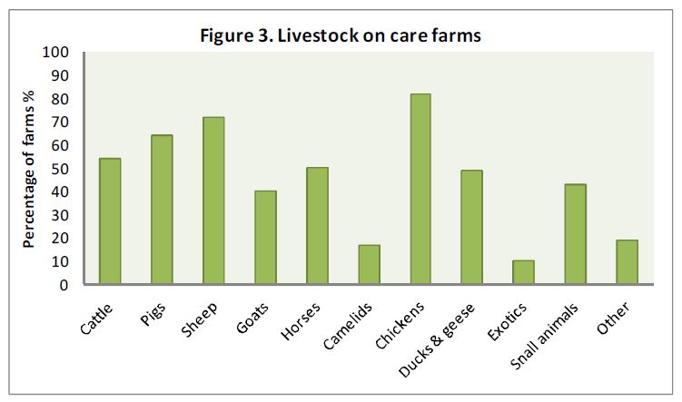 Care Farming in the UK – Report | UMass Sustainable Food and Farming