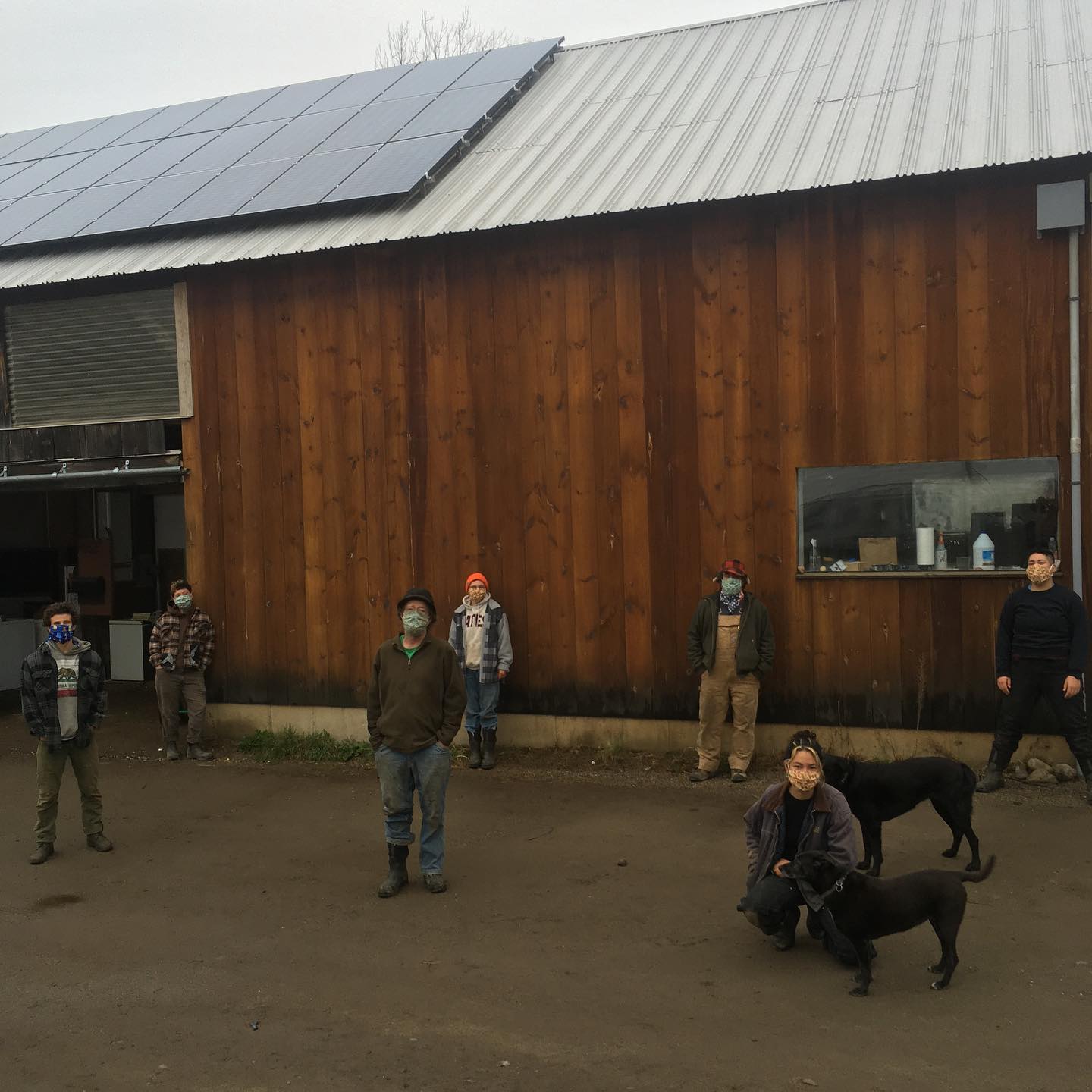 FARMING REMOTELY?! | UMass Sustainable Food and Farming